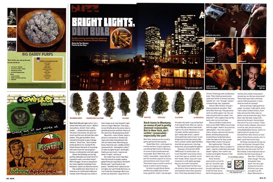 BRIGHT LIGHTS, DIM BULB | High Times | JUNE 2011