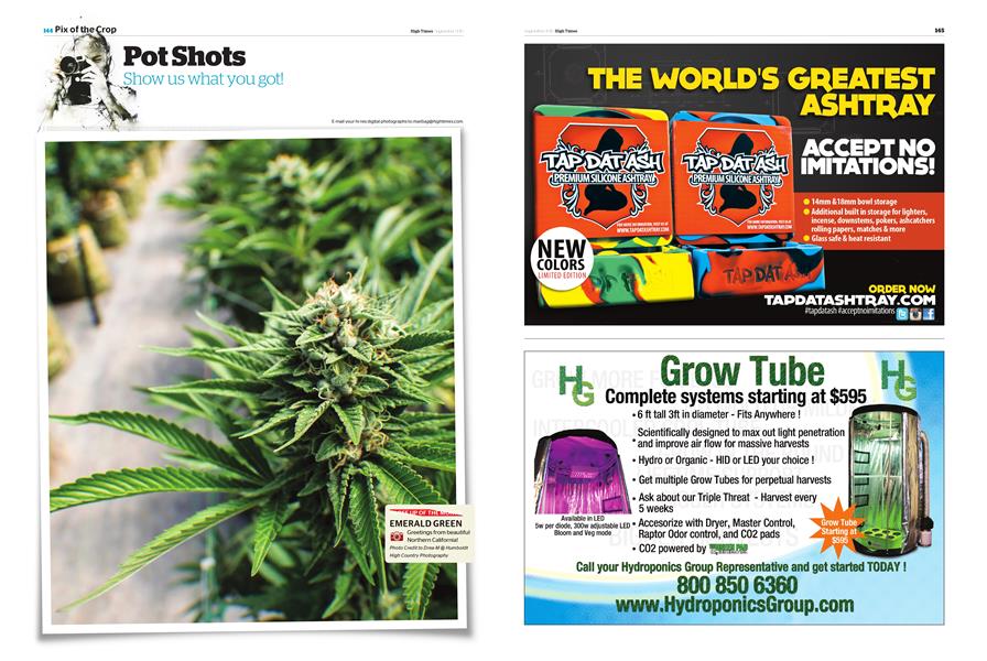 What Are Pot Shots at Ralph Ray blog